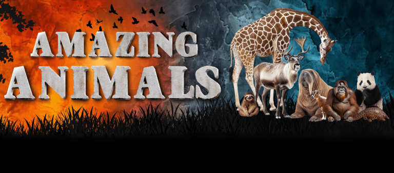 The Animal Guyz » The Albany Theatre